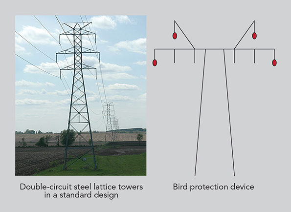 Transmission Line Guard
