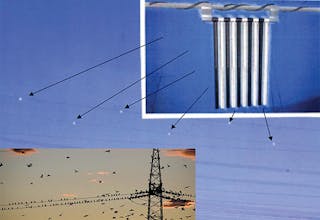 Transmission Line Design Enhances Bird Protection | T&D World