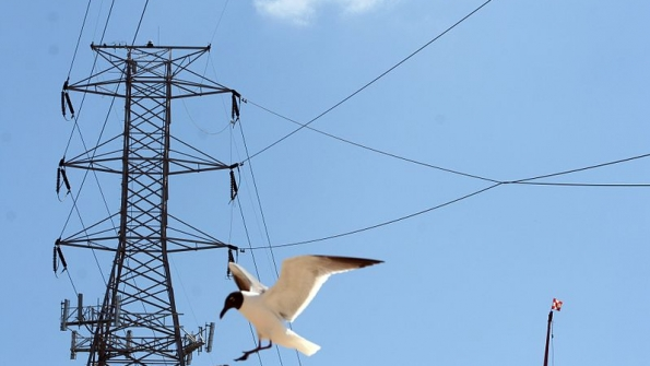 How to Disconnect a Snapped, Energized Power Line | TD World