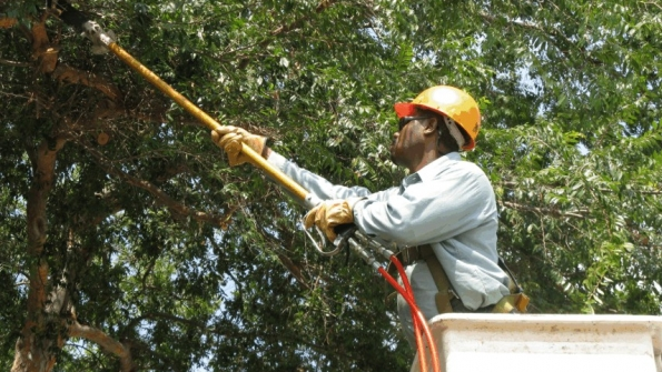 FirstEnergy Receives Tree Care Award from National Arbor Day Foundation ...