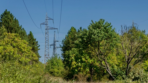 FirstEnergy Continues Tree Trimming Program in Penelec Service Area | T ...