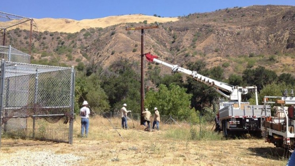 California Condor Recovery Program Spreads Its Wings | T&D World