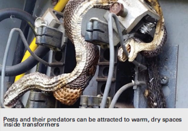 Maintenance Inspection Windows on Transformers | T&D World