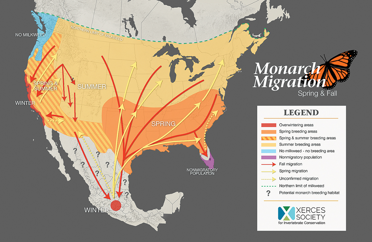 Miles of Lines, Miles of Monarch Habitat | T&D World