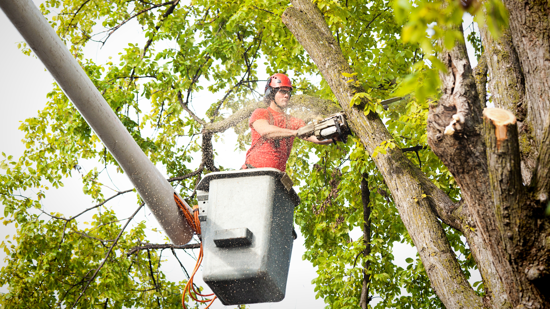 Attract, Train and Retain | TD World