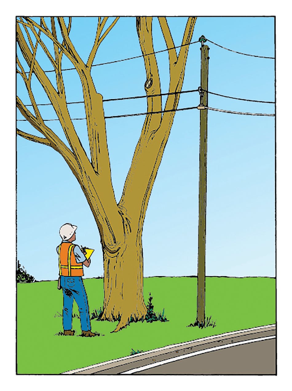 New BMPs Guide Utilities in Assessing Tree Risks | T&D World