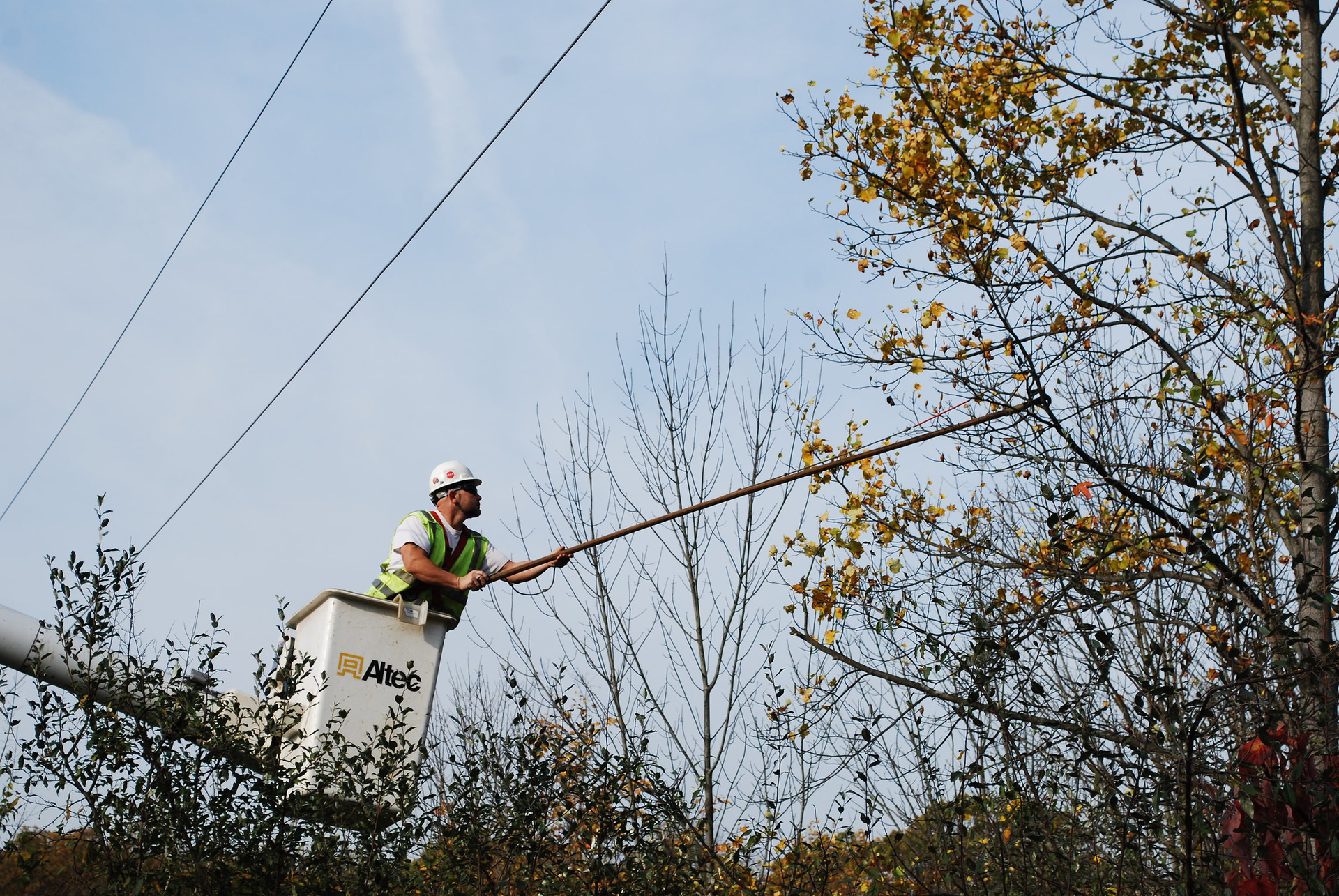 Ohio Edison's 2020 Tree Trimming Program to Enhance Service Reliability ...