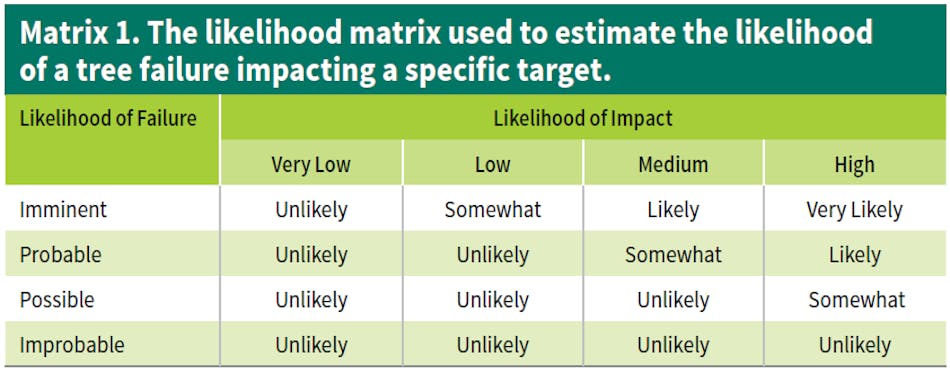 New BMPs Guide Utilities in Assessing Tree Risks | T&D World
