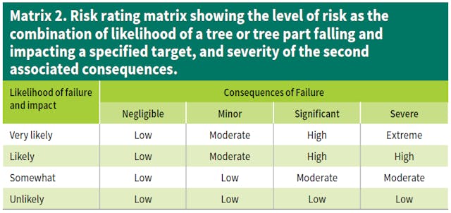 New BMPs Guide Utilities in Assessing Tree Risks | T&D World