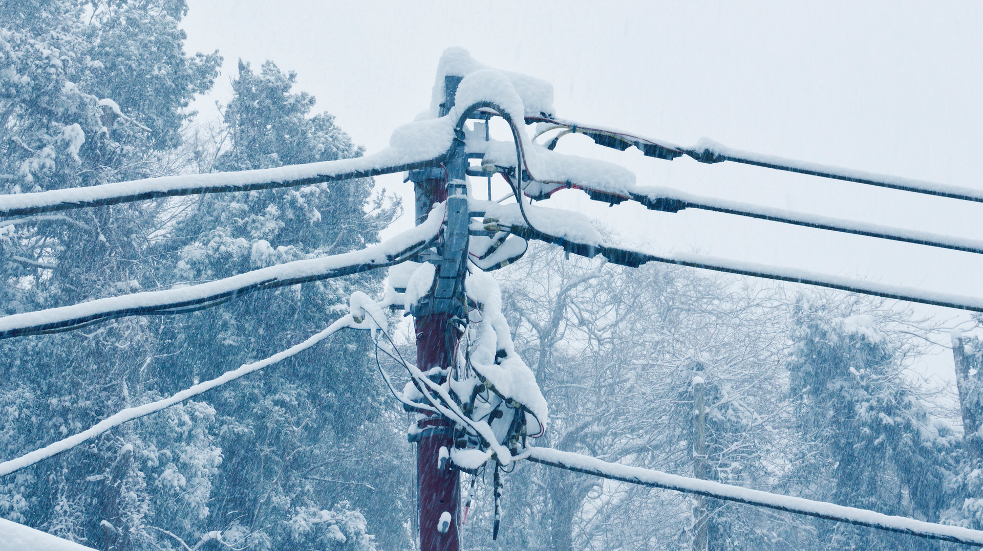 PSEG Long Island Restores Power Following Heavy Snow, Strong Winds | TD ...