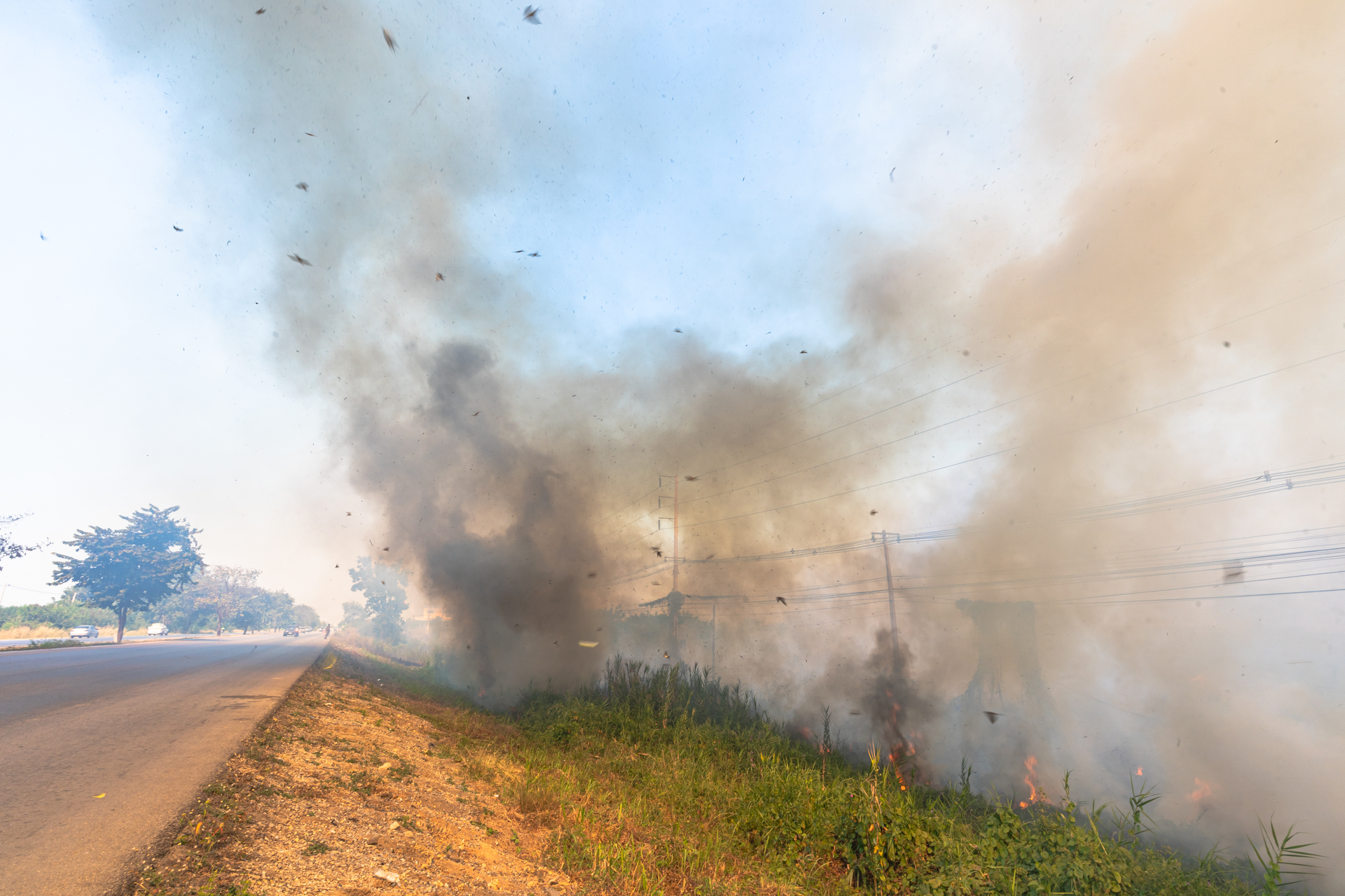 Fire Resilient Poles for Overhead Lines | T&D World