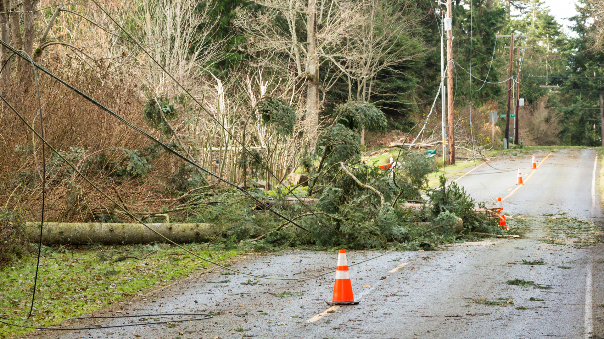 Advanced Tools Reveal Critical Infrastructure Connections and Help ...