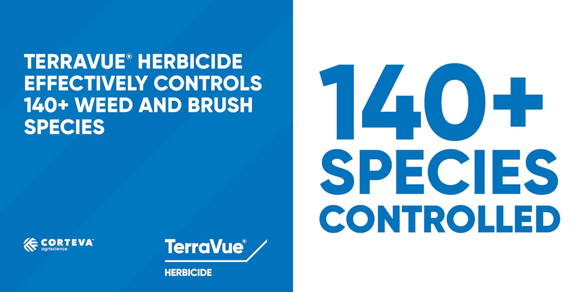 New Herbicide Enhances Results | T&D World