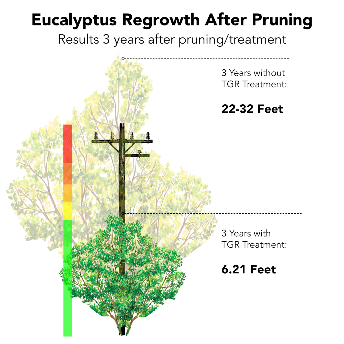 Tree Growth Regulators Go Mainstream at PG&E | T&D World