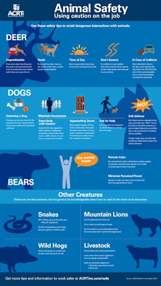 dog bite safety tips