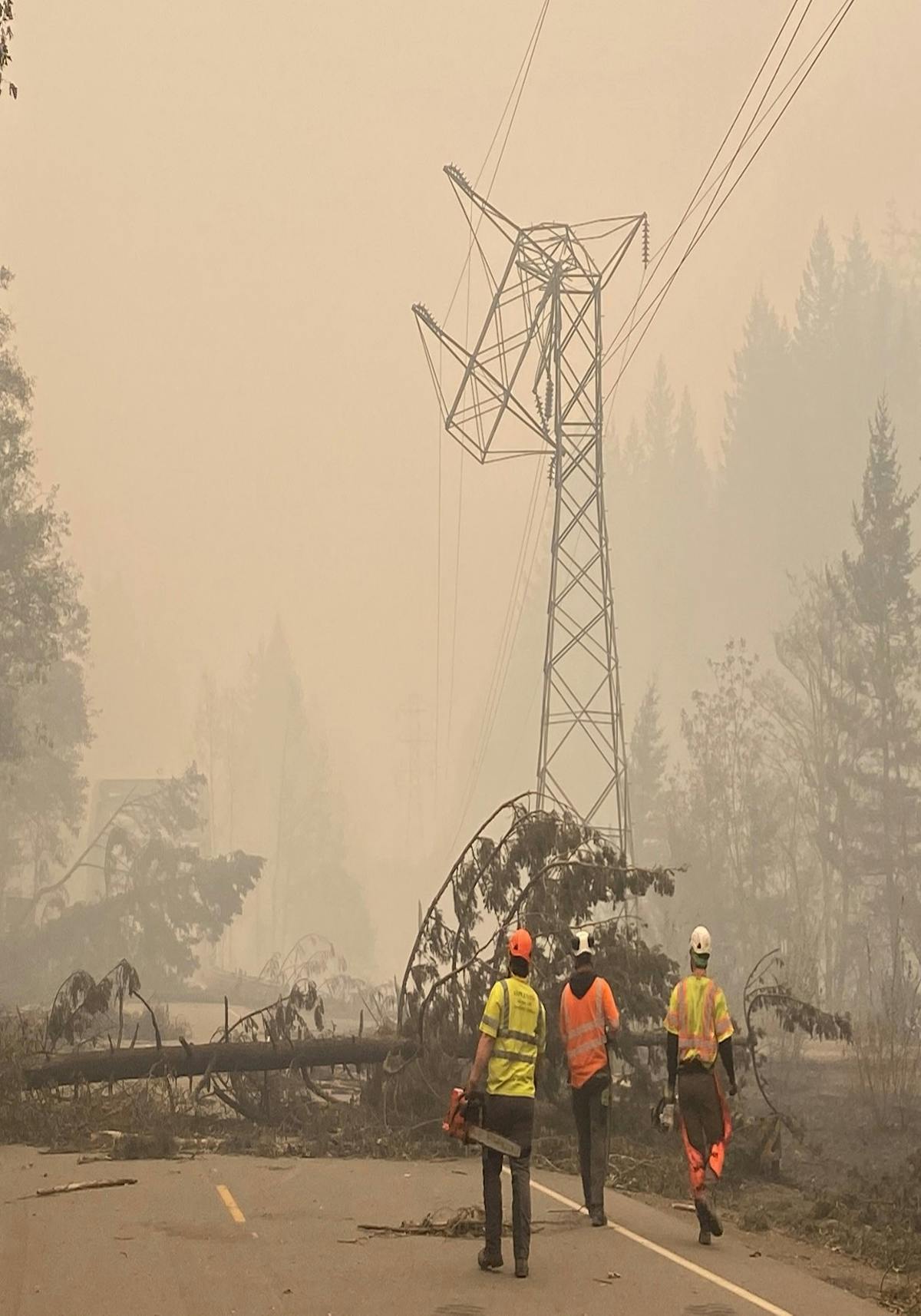 Advanced Wildfire Risk Reduction | T&D World