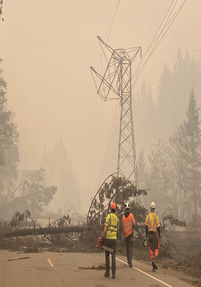 Advanced Wildfire Risk Reduction | T&D World