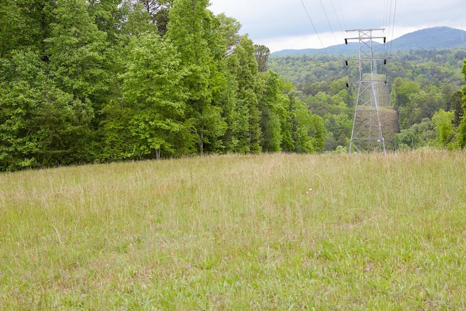 Brush Control: Safeguarding the Environment and Your Bottom Line | T&D ...