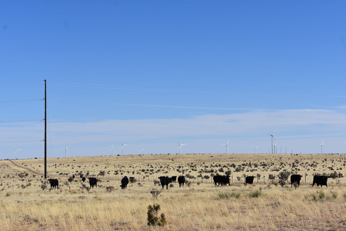 Western Spirit Wind’s Four Wind Farms Constructed at Once | T&D World