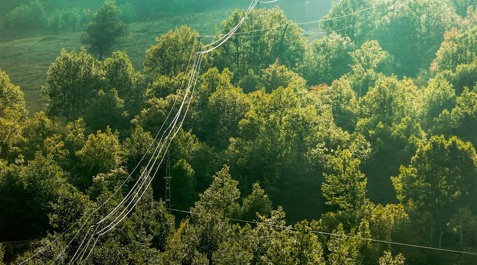 Vegetation Inspection, a challenge for Utilities | T&D World Vegetation Inspection, a challenge for Utilities | T&D World