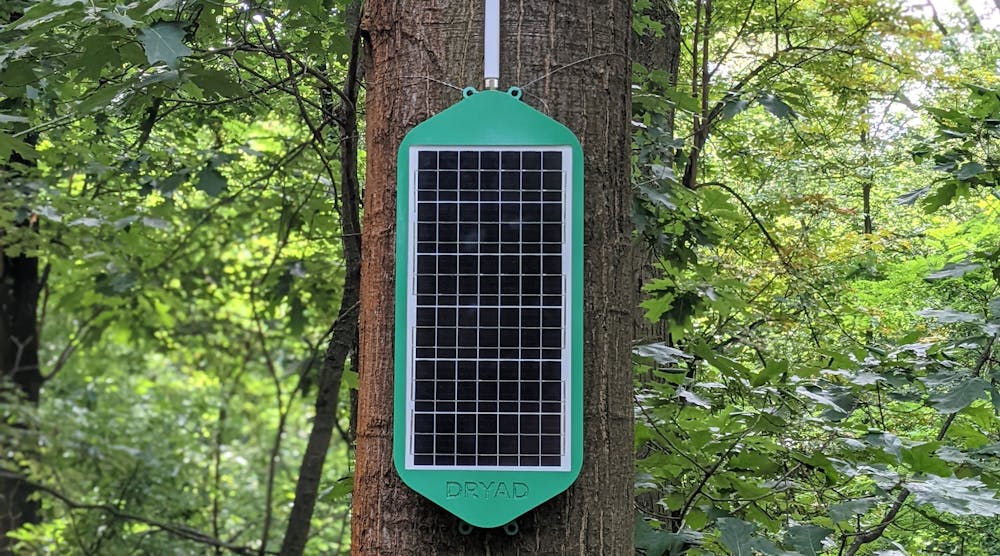 Solar Powered Sensor Network Delivers Wildfire Detection And Forest