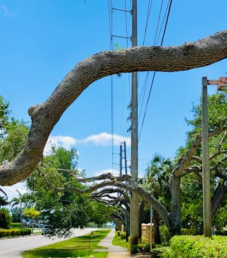 Distribution Goal: 50% Underground by 2040 | T&D World