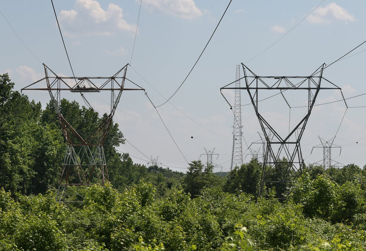 Protecting Power Lines and Birds of Prey | T&D World