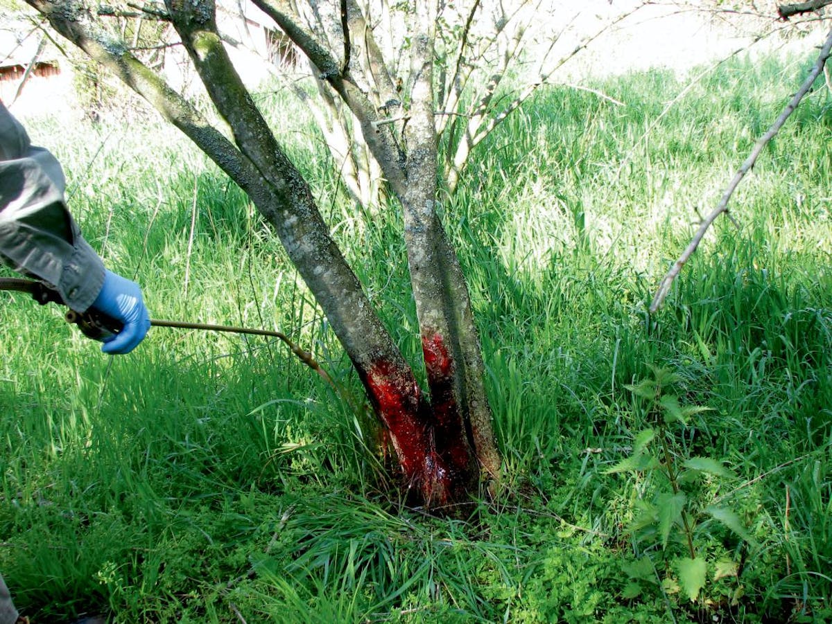 Dormant Season: A New Beginning for Vegetation Managers | T&D World