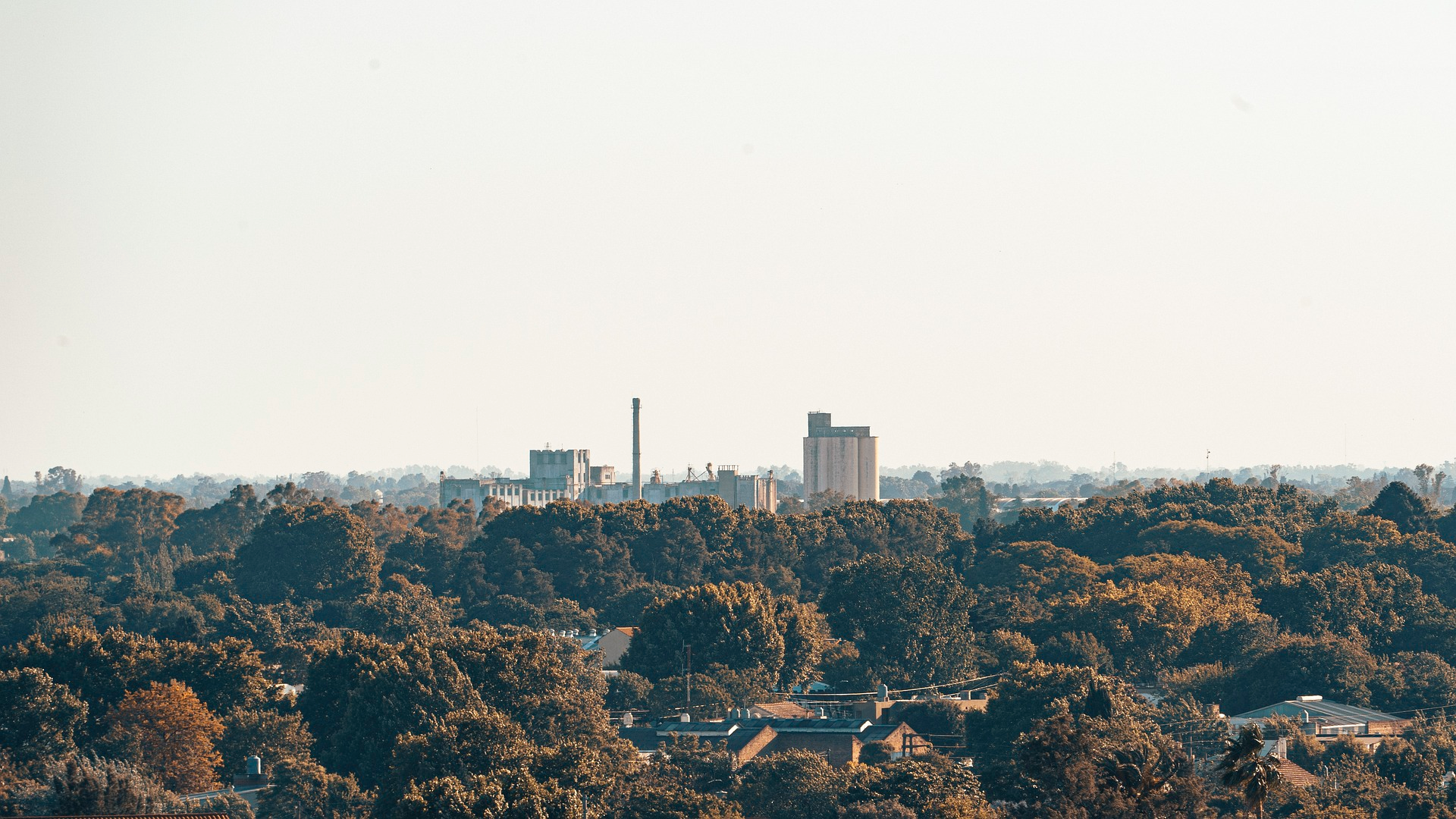 New BMPs Guide Utilities in Assessing Tree Risks | T&D World