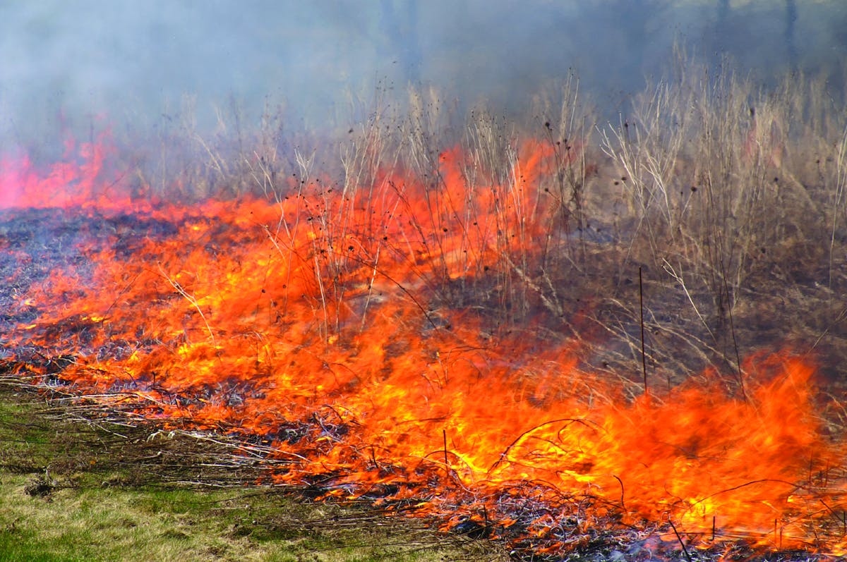 Four Essentials To Wildfire Mitigation Programs | T&D World