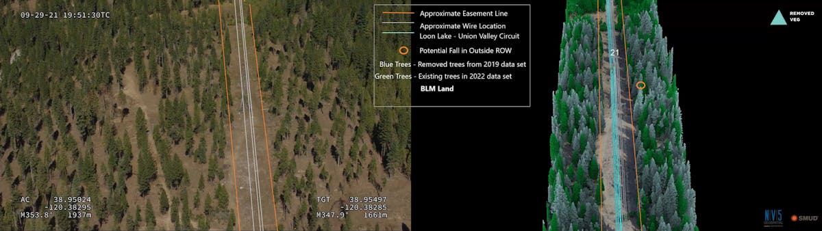 Striving for Sustainability in Vegetation Management | T&D World