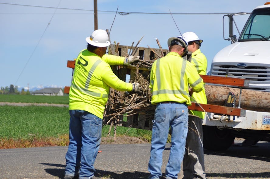 Mitigating Bird Nesting on Distribution Poles | T&D World