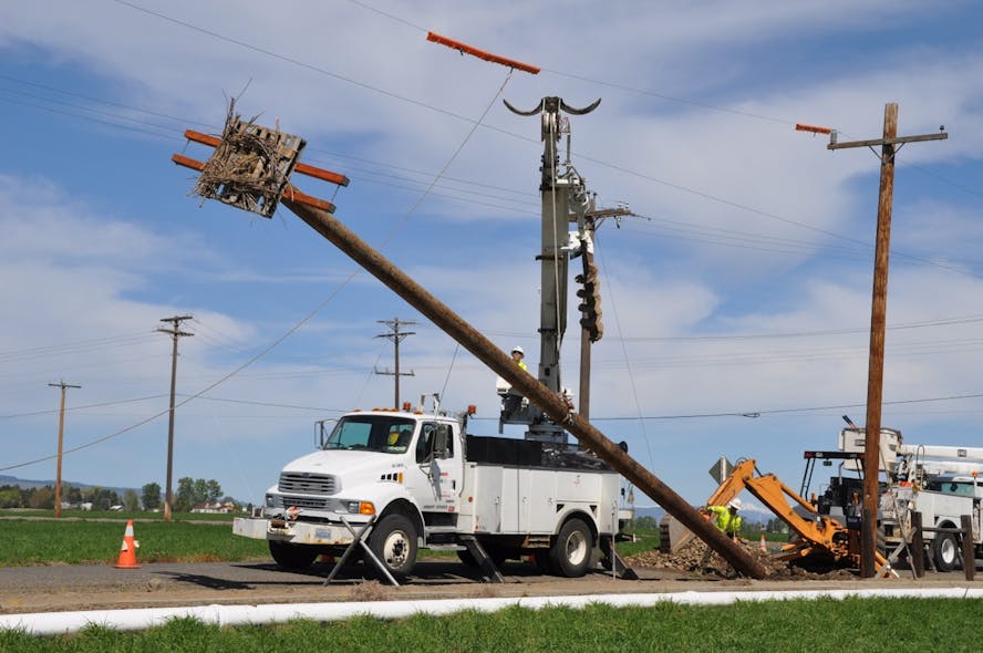 Mitigating Bird Nesting on Distribution Poles | T&D World