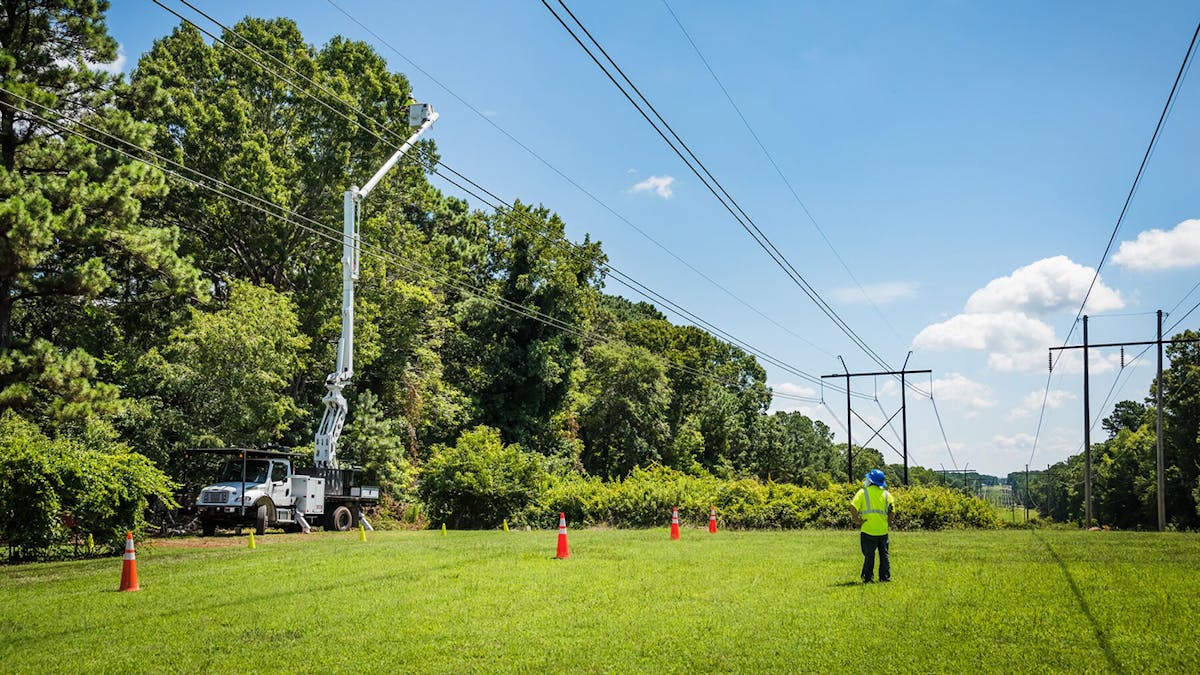 Part Two: Transmission Vegetation Management Transformation | T&D World