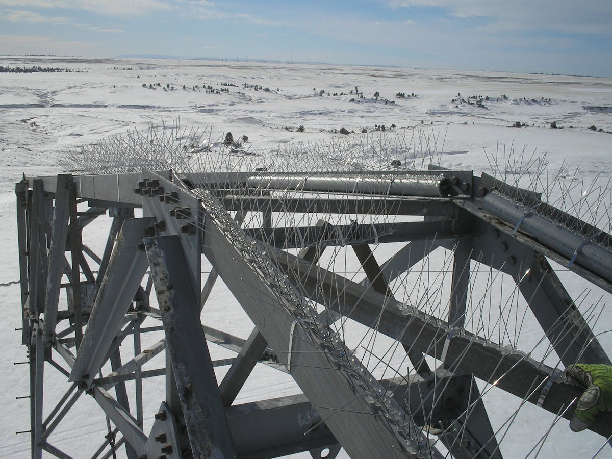 Montana Utility Manages Raven Roosts on Towers | T&D World