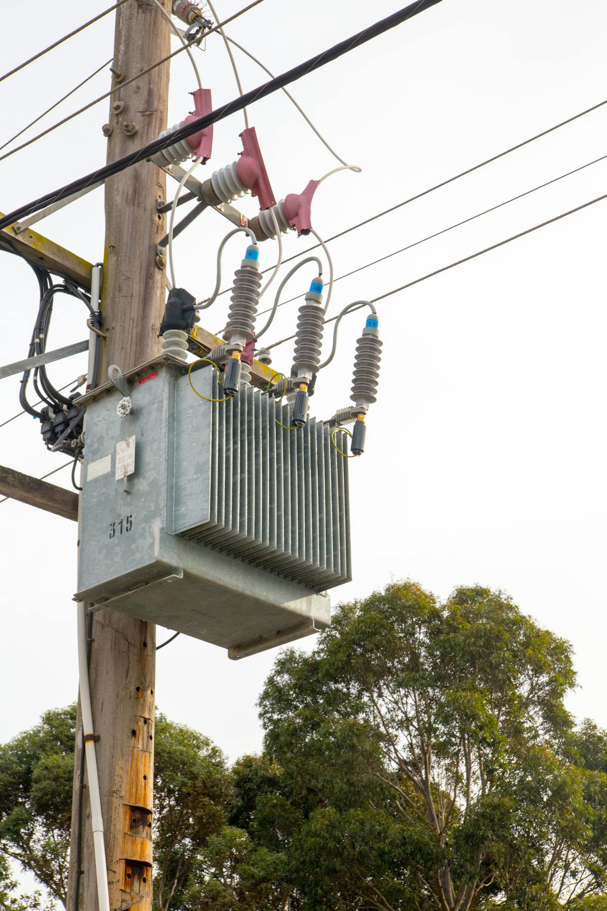 Digital Tools Can Help Address Vegetation Hazards | T&D World