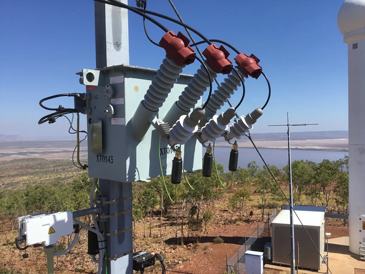 Digital Tools Can Help Address Vegetation Hazards | T&D World