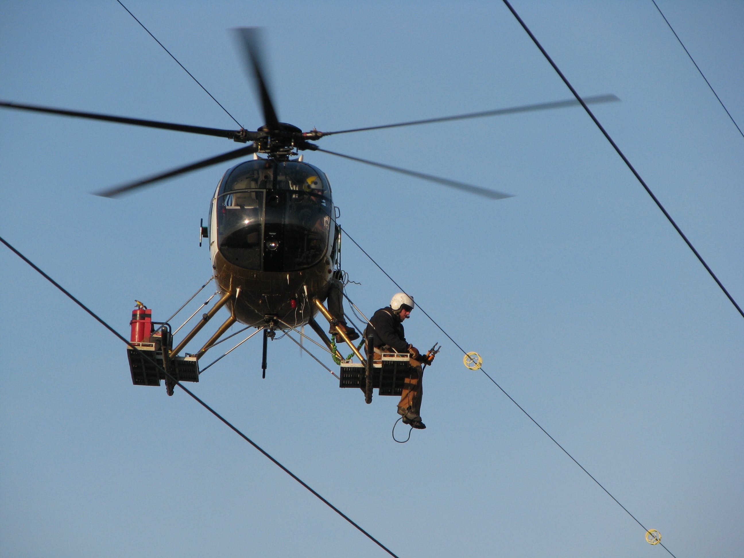 Birds on a Wire: The Perils of Power Lines | T&D World