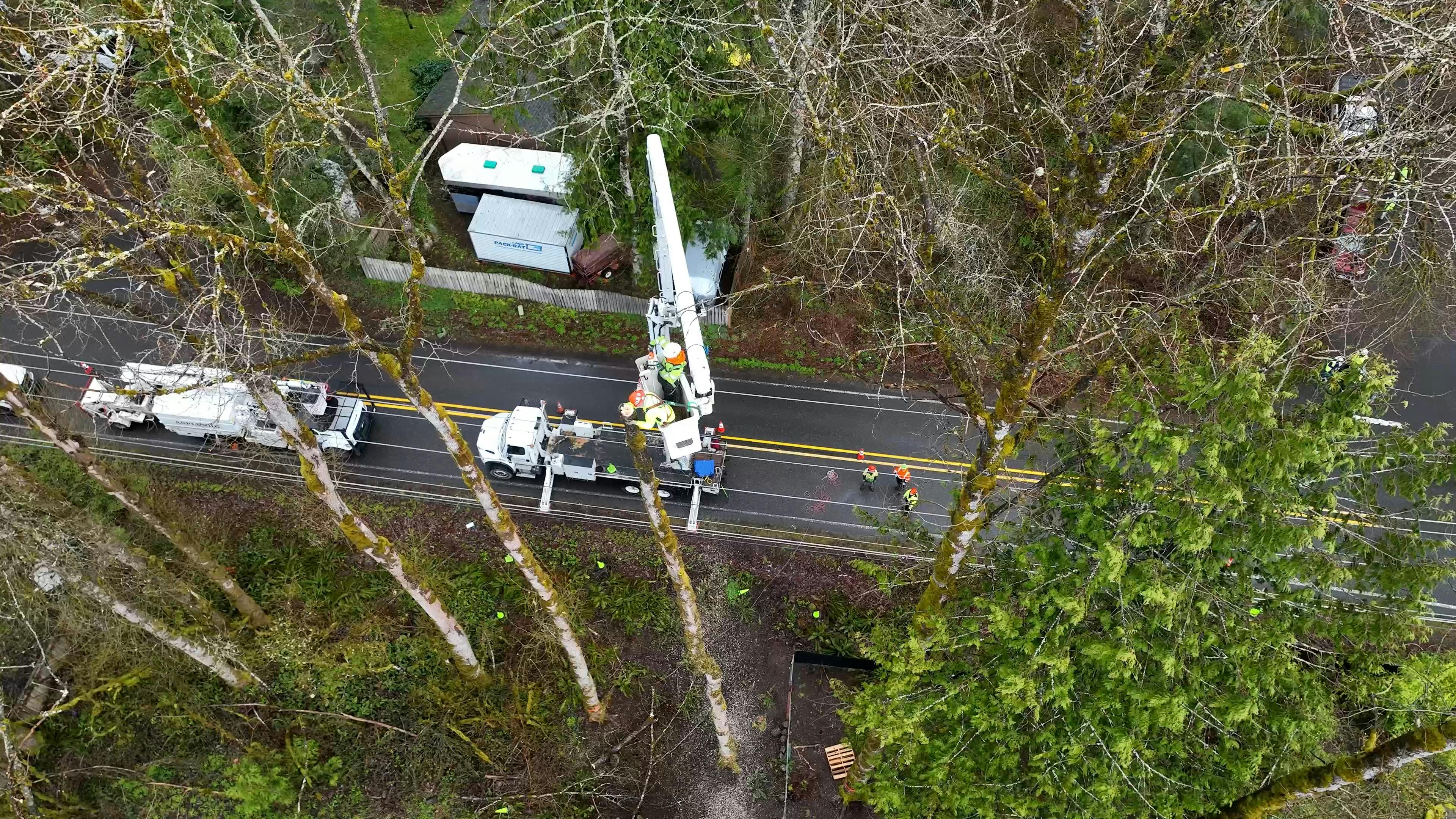 PGE Provides Demonstration on Safe Tree-Trimming Near Power Lines in ...