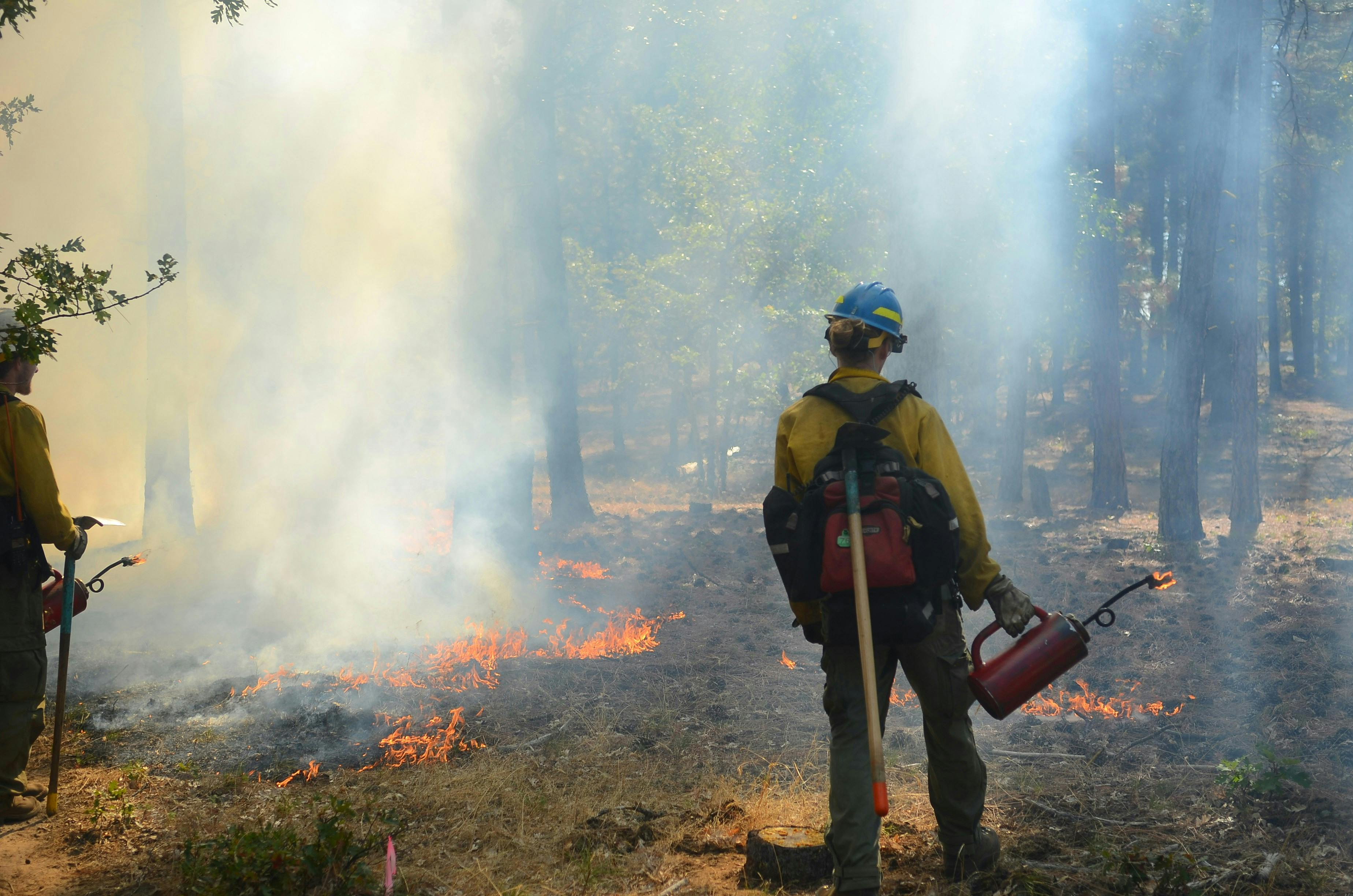 Situational Awareness for Wildfire Response: Your Guide to Emerging ...